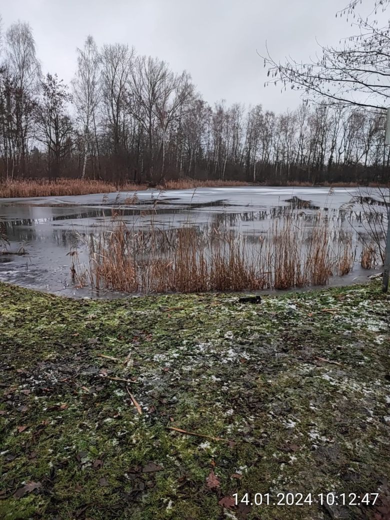 ASV-Lauchhammer - Willkommen
